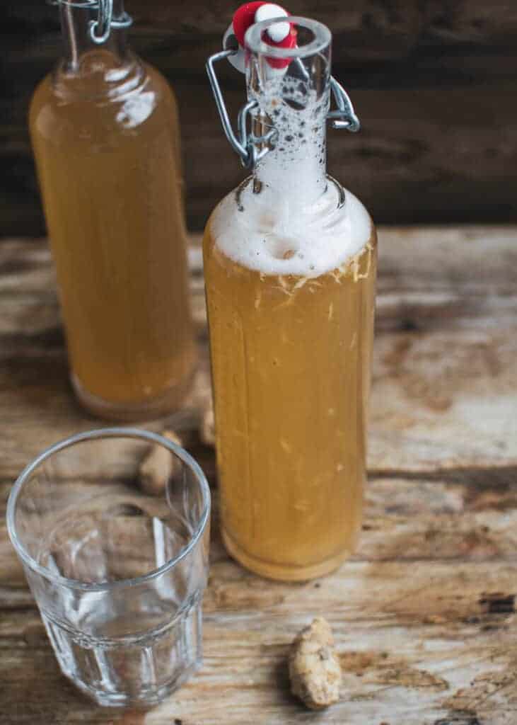 Fizzy Fermented Ginger Beer With A Ginger Bug - Home Grown Happiness