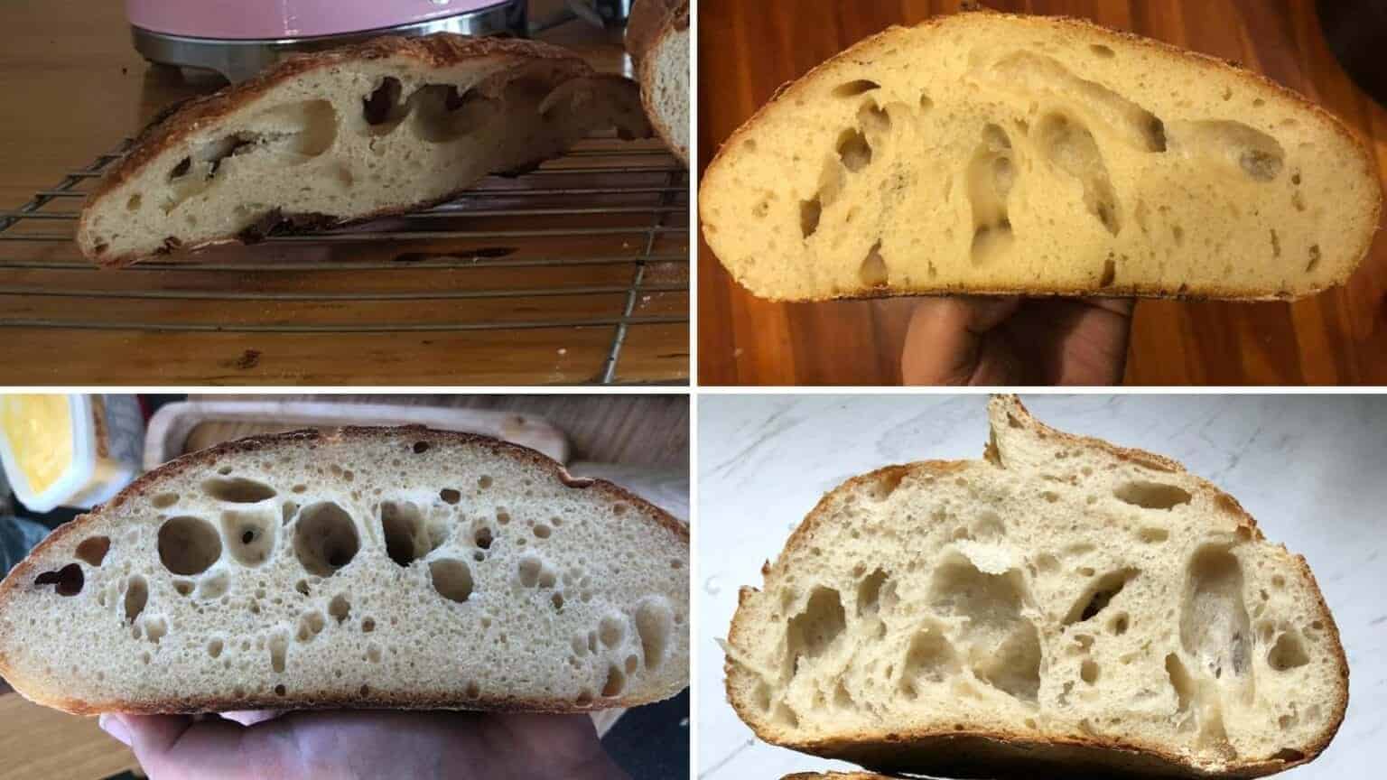 No More Dense Sourdough - A Sourdough Guide - Home Grown Happiness