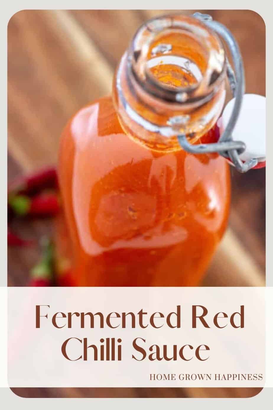 Fermented Chilli Sauce Recipe - Home Grown Happiness