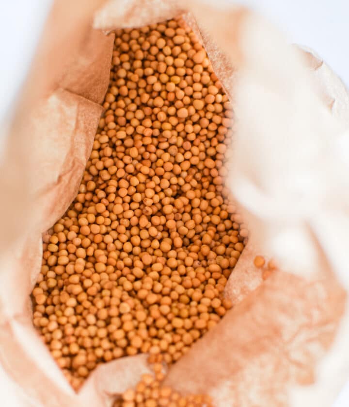 Easy Homemade Mustard Recipe - Home Grown Happiness